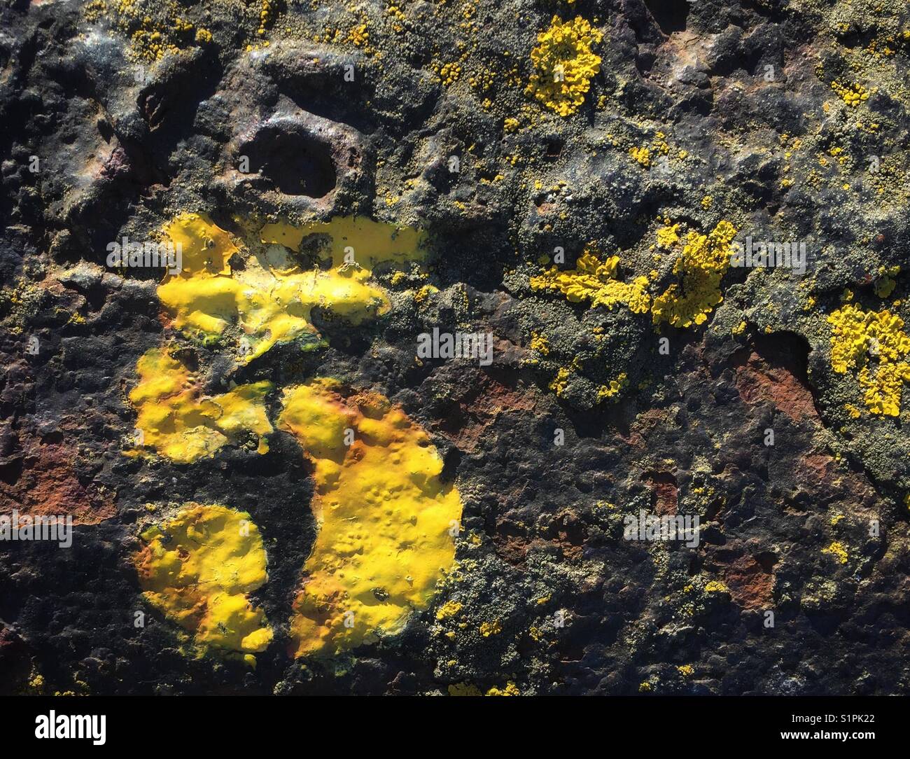 Number five numbers hi-res stock photography and images - Alamy