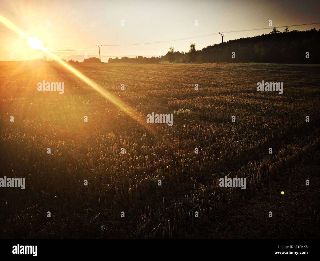Morning and evening hi-res stock photography and images - Alamy
