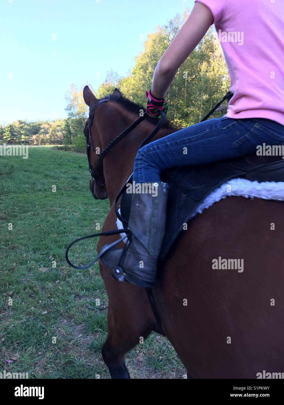 Fall horse riding hi-res stock photography and images - Alamy
