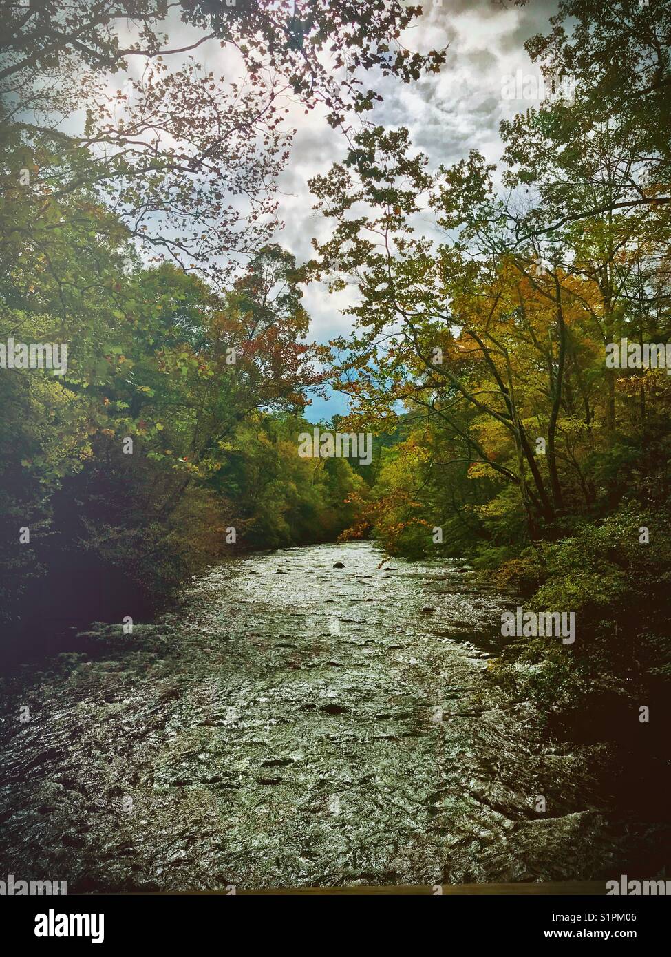 Fall River scene in the smoky Mountains Stock Photo - Alamy