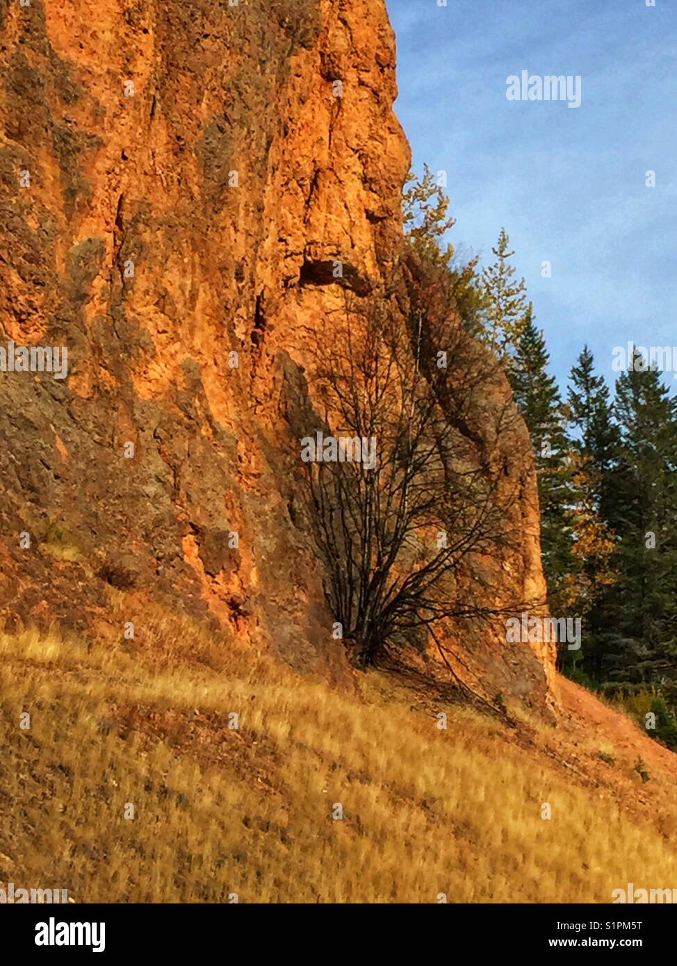 Red rock, Sinclair Canyon, Radium, BC, Canada Stock Photo - Alamy