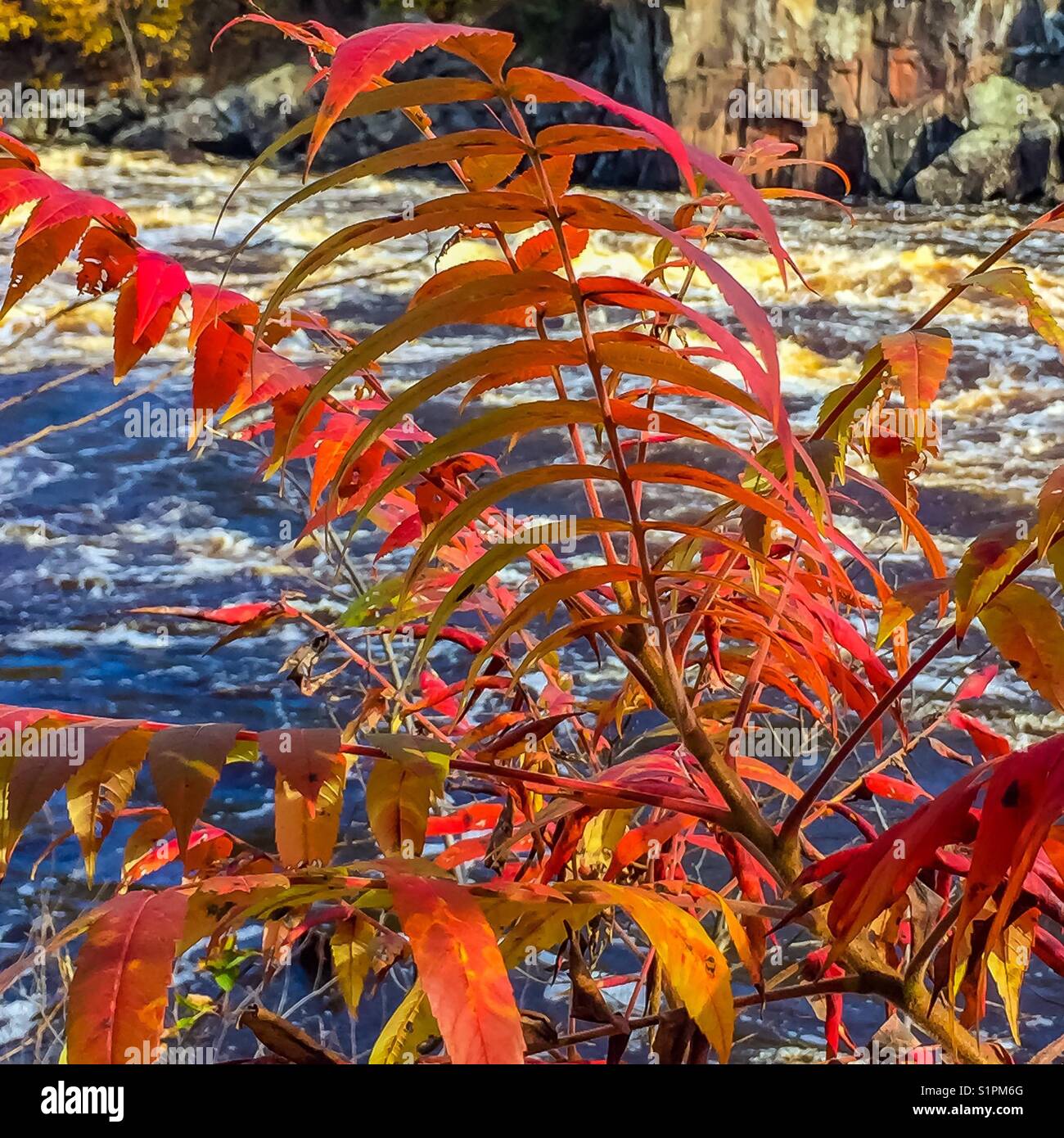 Riverside rock hi-res stock photography and images - Alamy