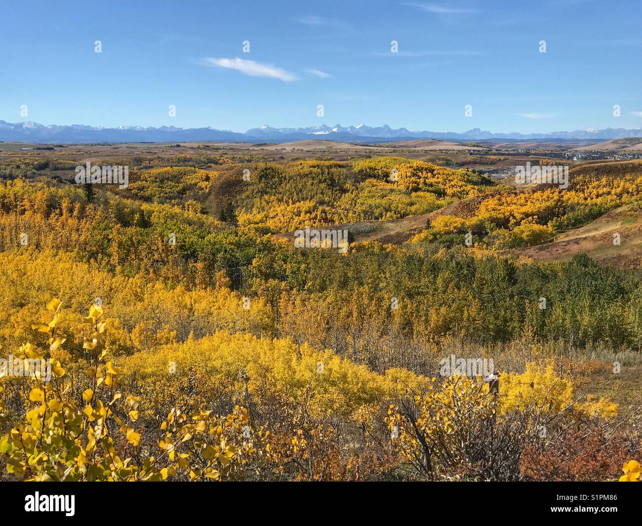 Fall colours across the Alberta foothills, looking towards the Rocky ...
