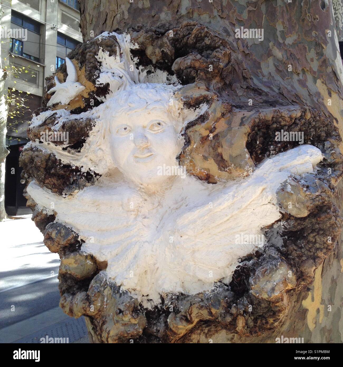 Plaster molding of an Angel in a plane tree, Street Art, Montpellier ...