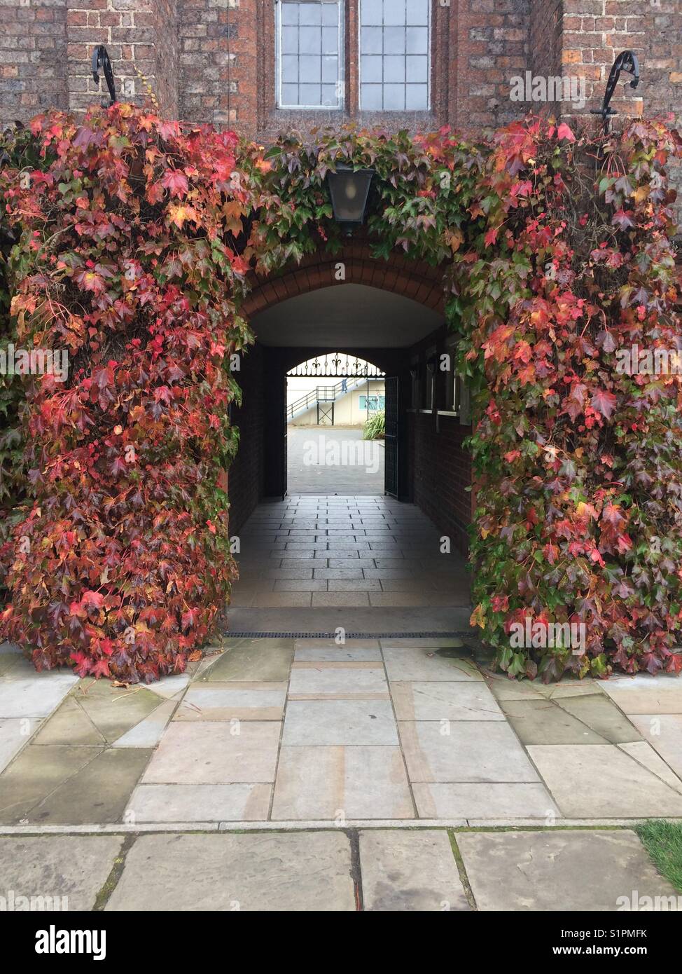 Arch leaves hi-res stock photography and images - Alamy