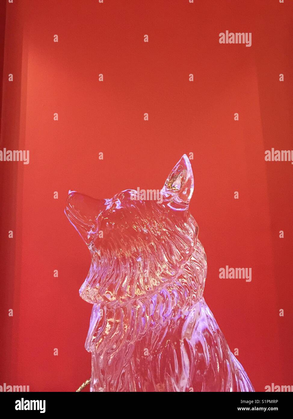 The fox and the wolf hi-res stock photography and images - Alamy