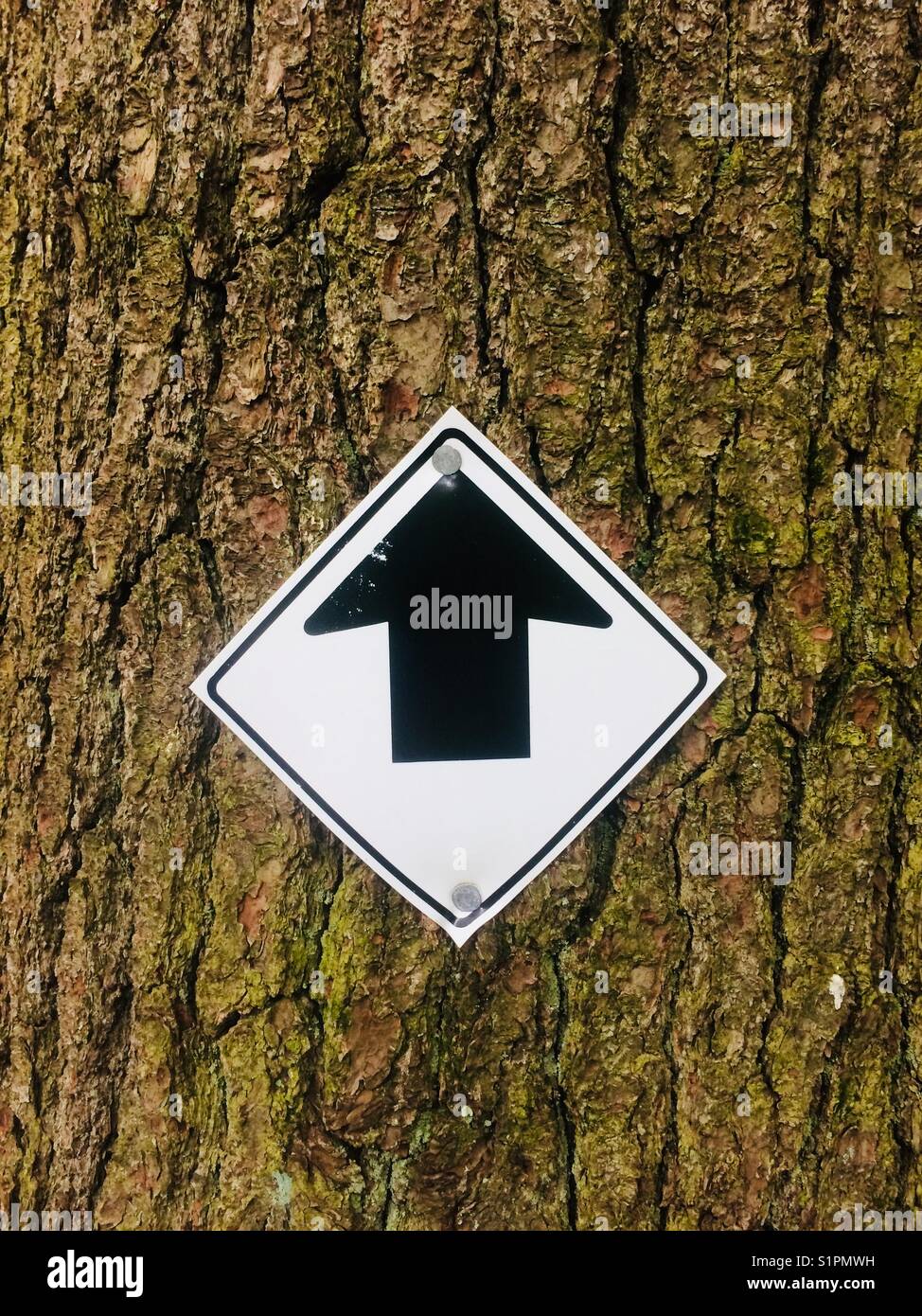 Directional sign tree hi-res stock photography and images - Alamy