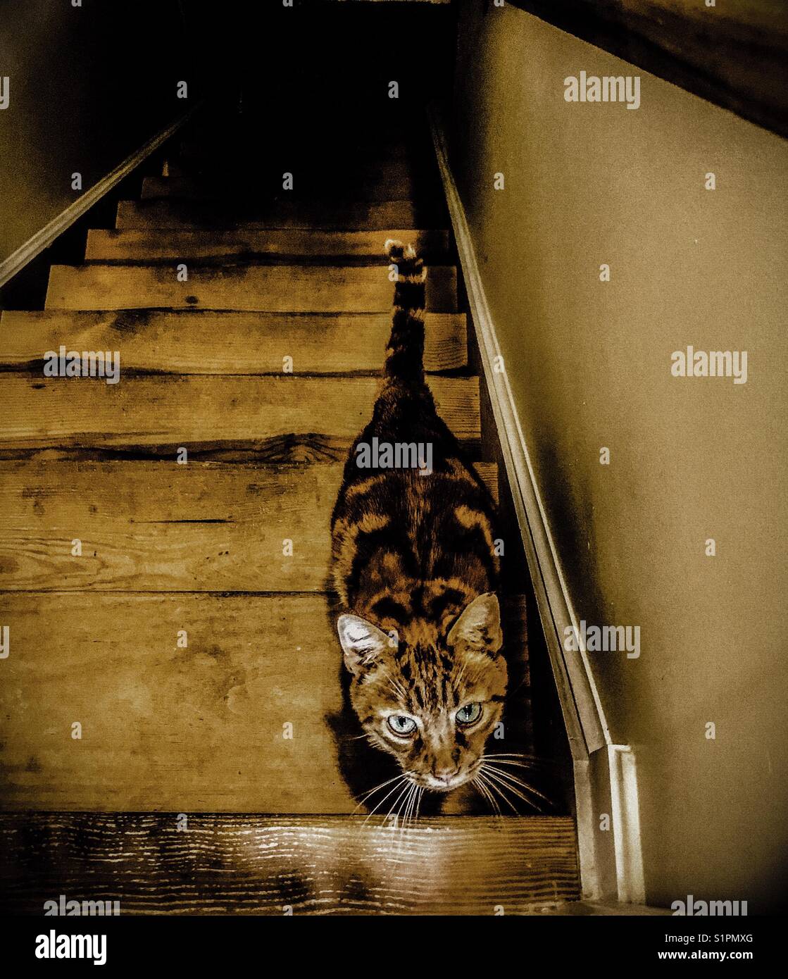 Creepy stairs hi-res stock photography and images - Alamy