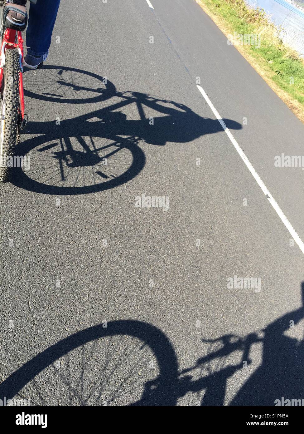 Shadow cyclist hi-res stock photography and images - Alamy