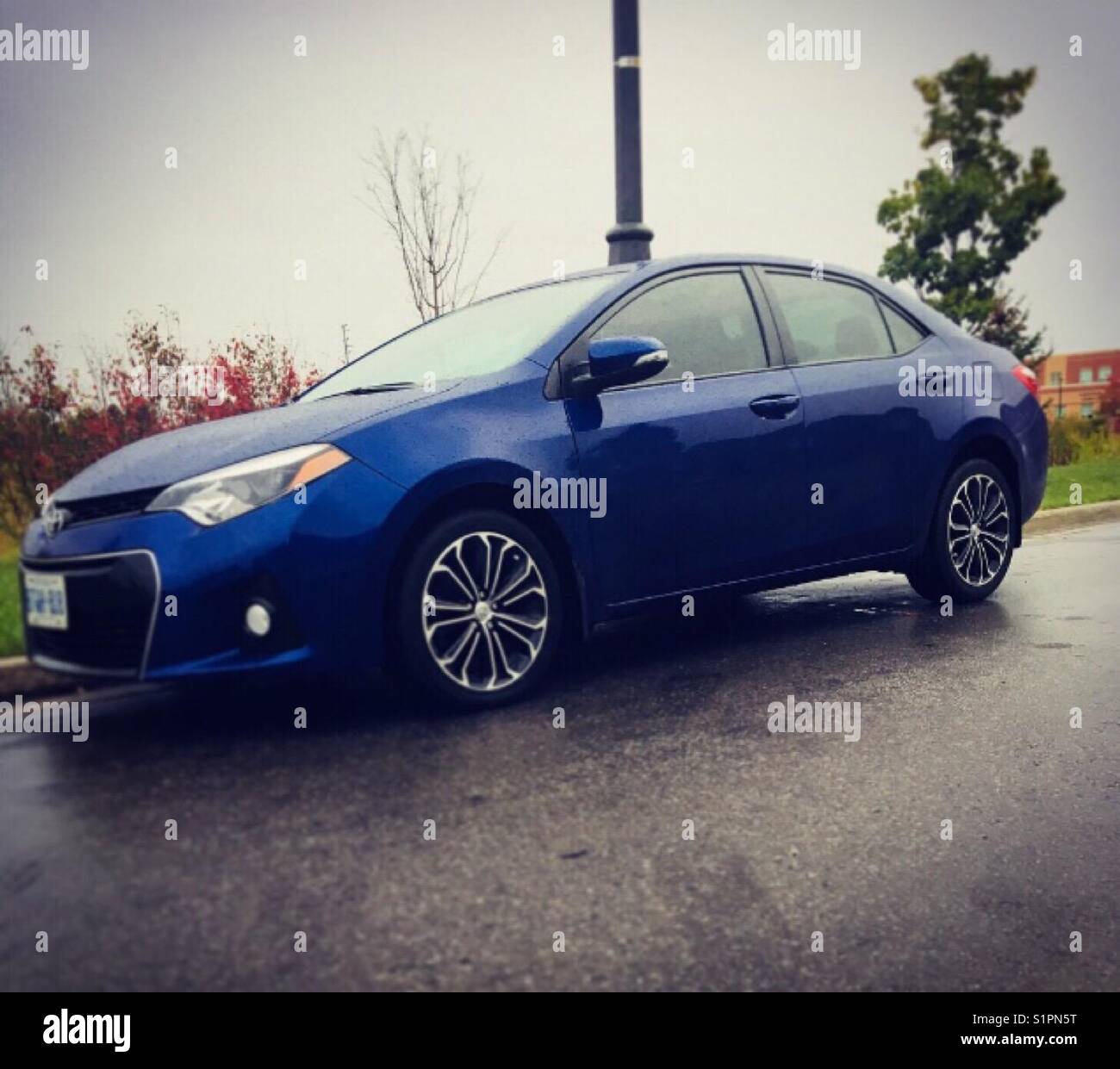 Blue Corolla High Resolution Stock Photography and Images - Alamy