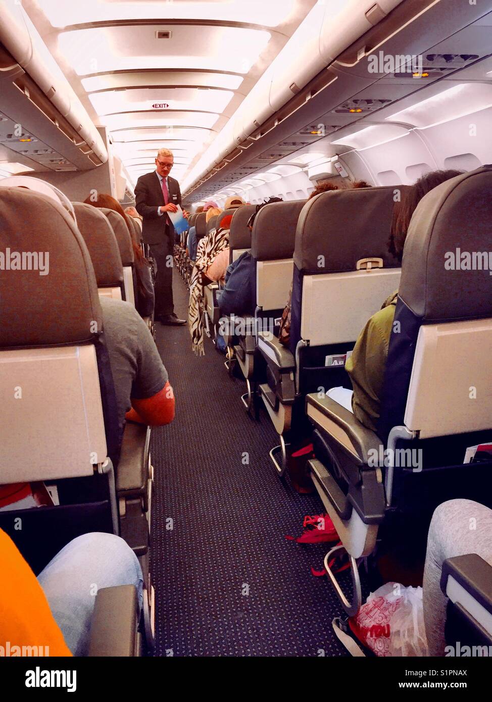 Flight attendant in the main cabin of commercial airline flight,USA ...