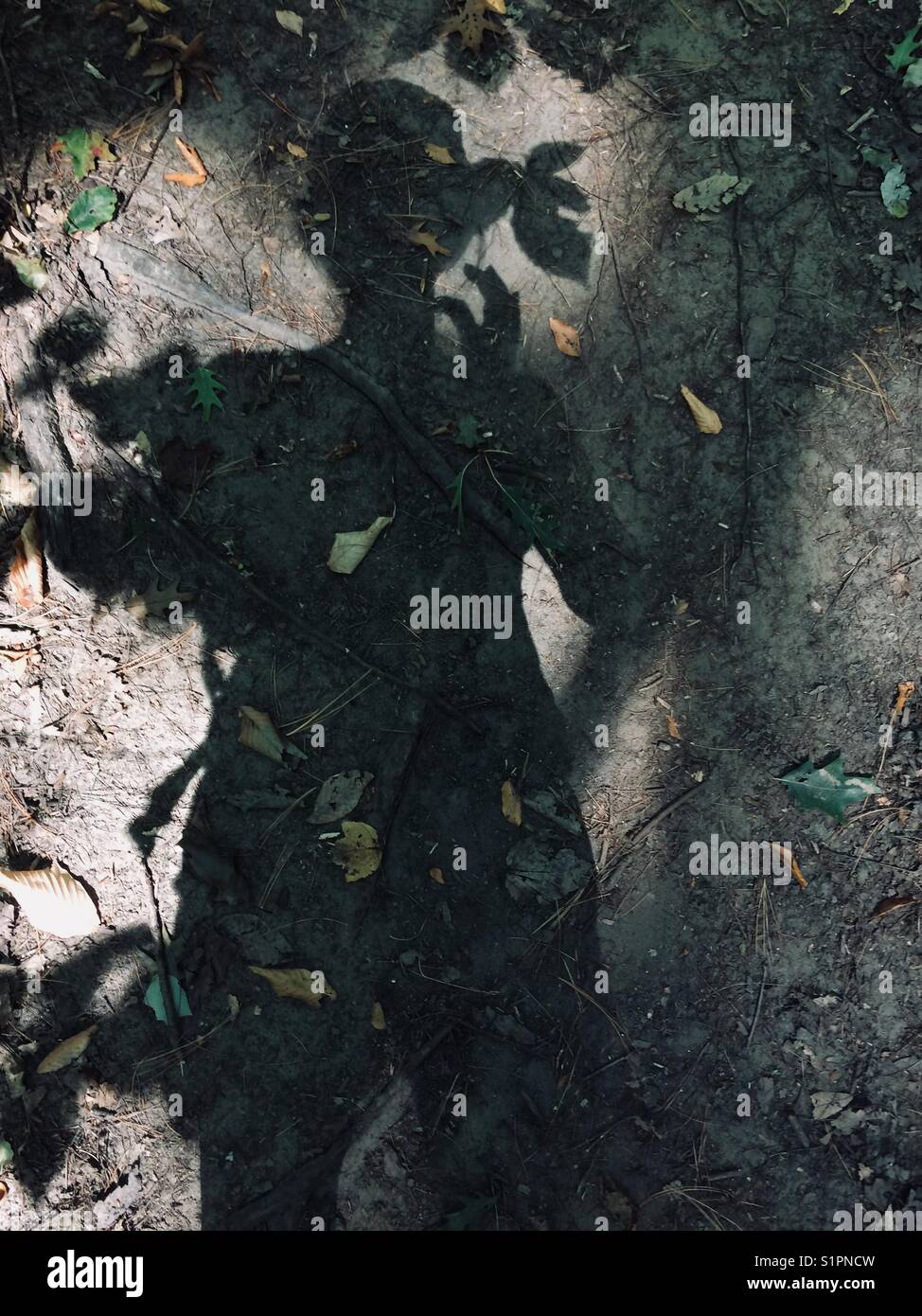 Person and shadow hi-res stock photography and images - Alamy