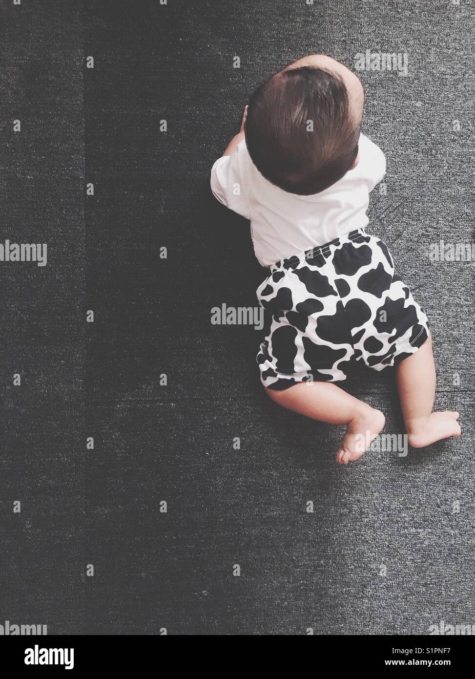 Exploring learning hi-res stock photography and images - Alamy