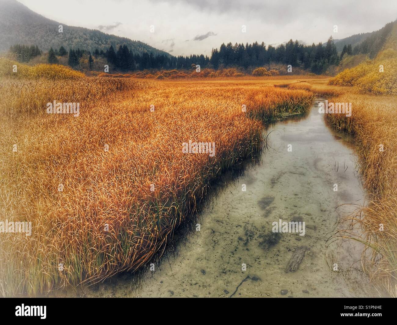 Stream in field hi-res stock photography and images - Alamy