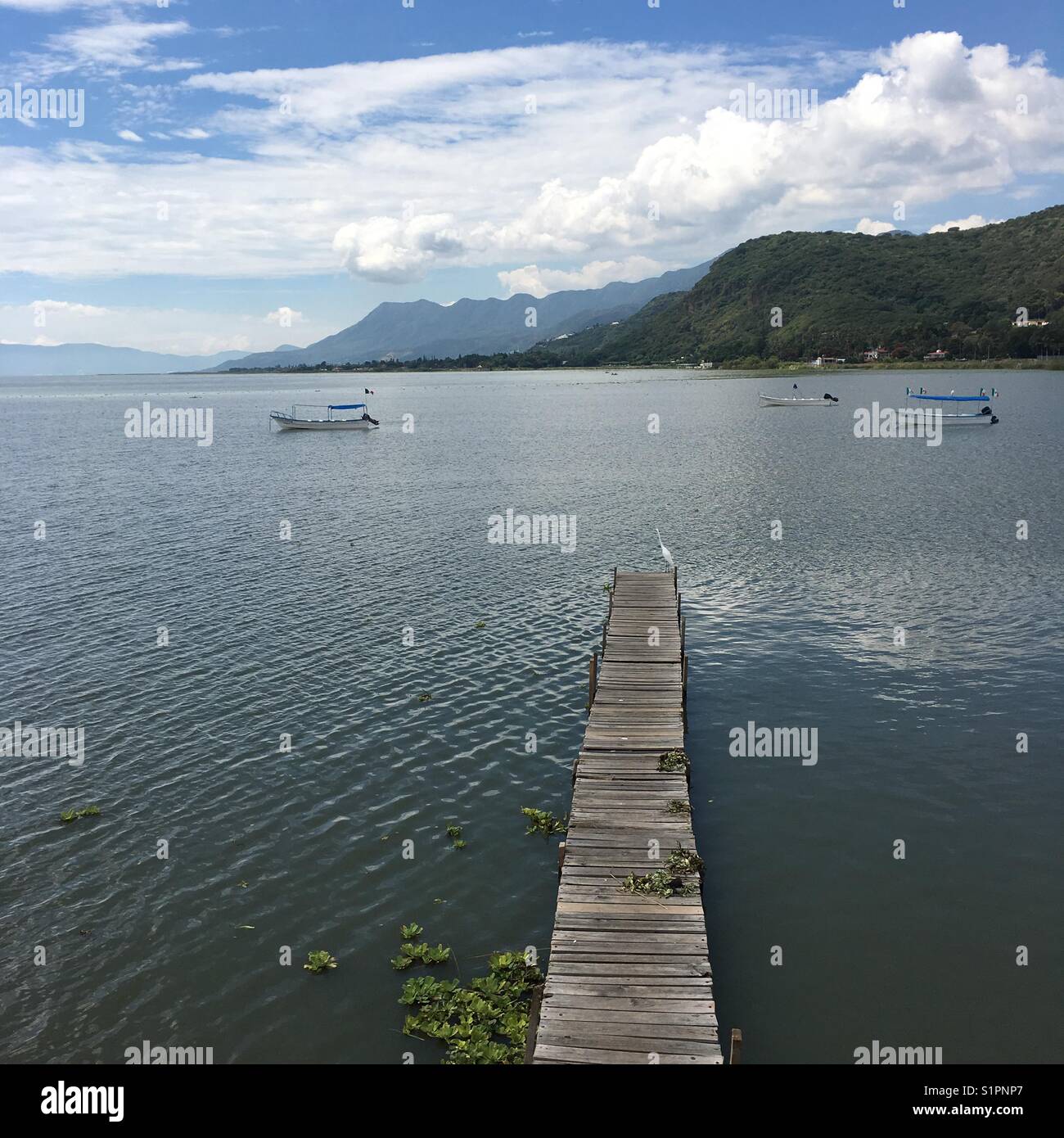Chapala hi-res stock photography and images - Alamy
