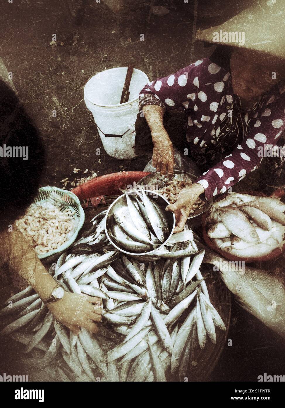 Lady selling fish hi-res stock photography and images - Alamy