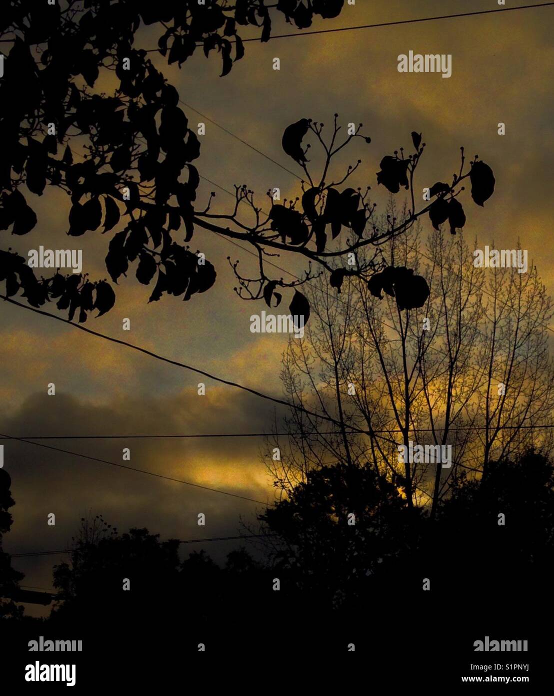 Overcast October morning Stock Photo - Alamy