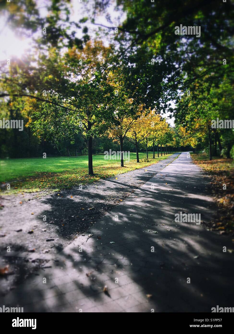 The path in the park hi-res stock photography and images - Alamy