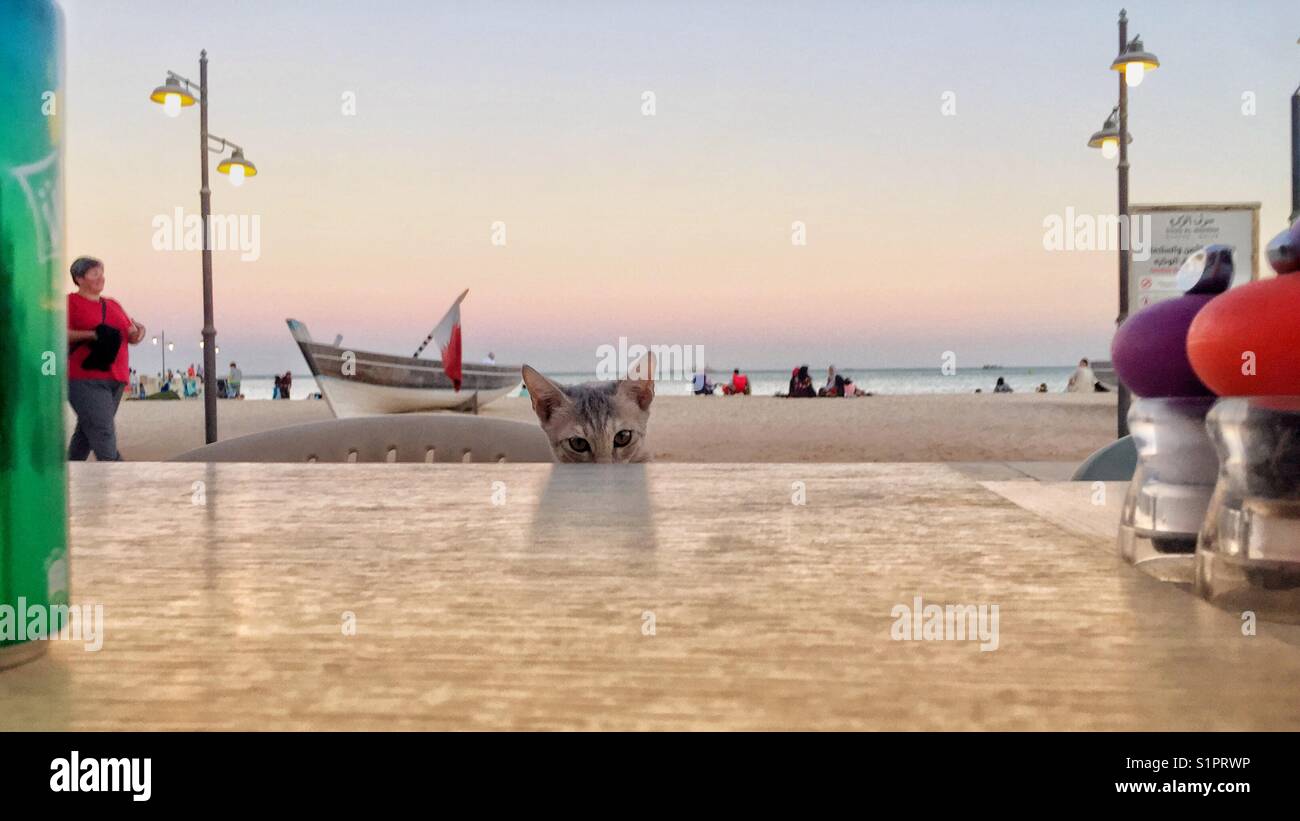 And look very cute hi-res stock photography and images - Alamy