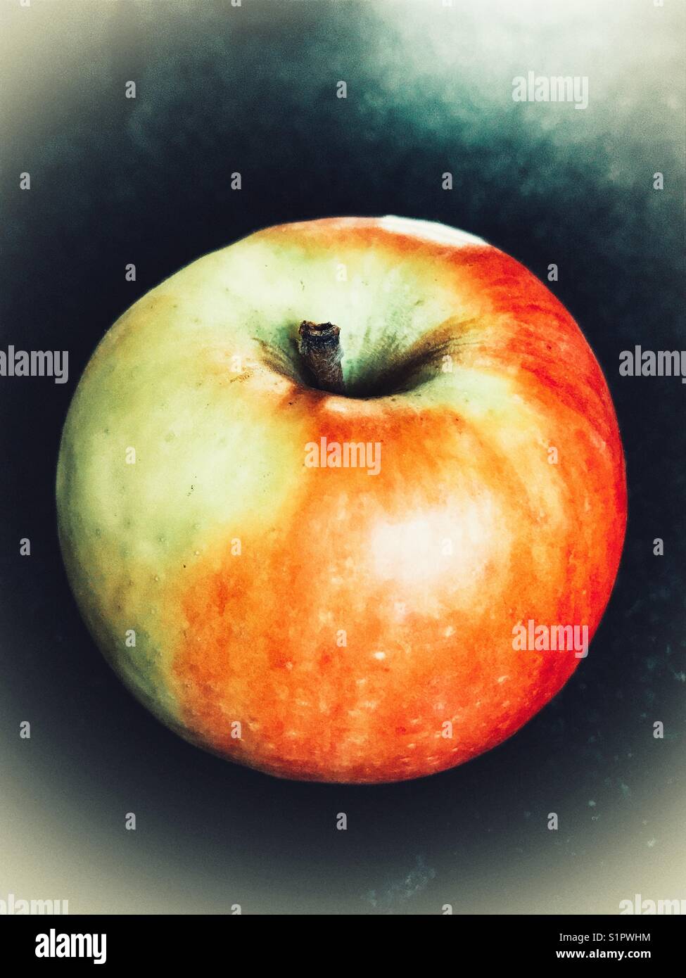 Pink Lady Apple Stock Photo - Alamy
