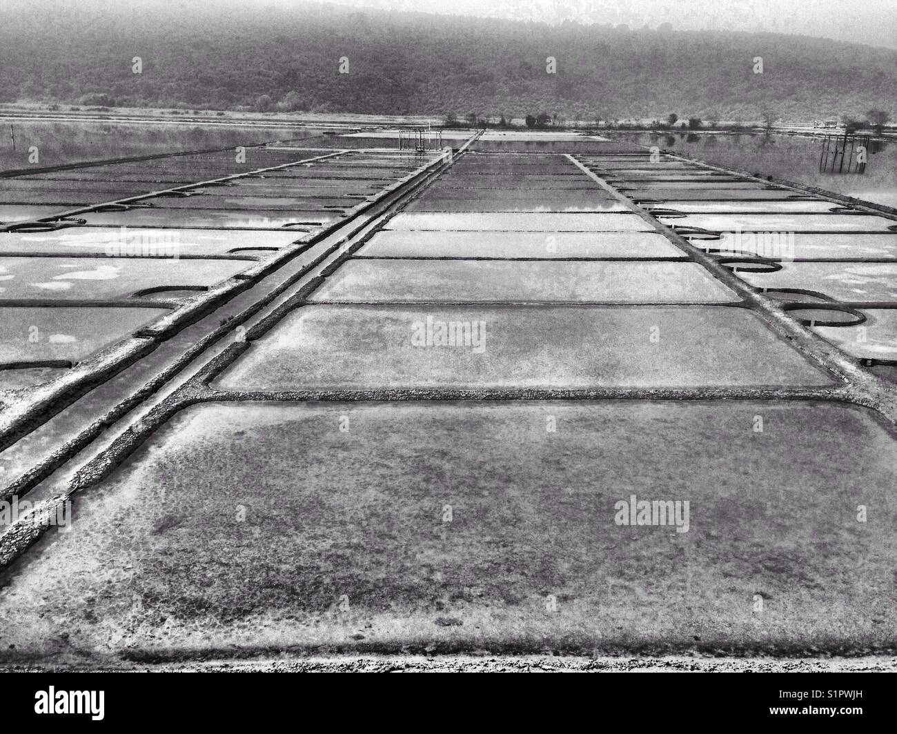 Making salt from a sea Stock Photo - Alamy