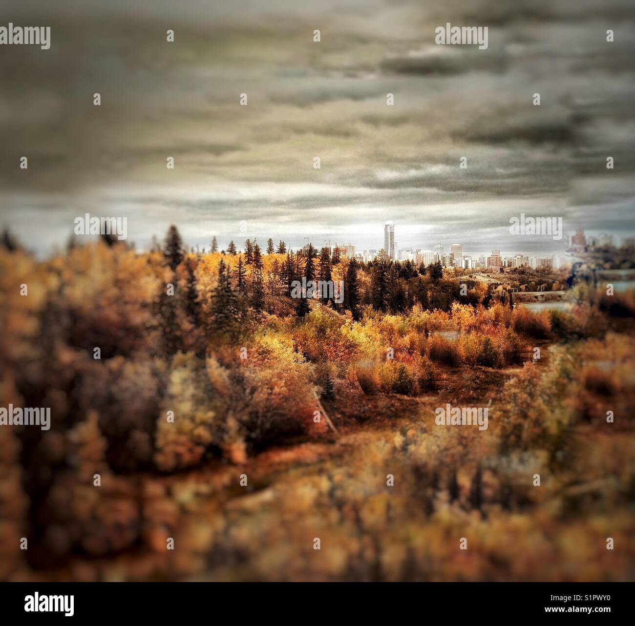 Edmonton autumn hi-res stock photography and images - Alamy