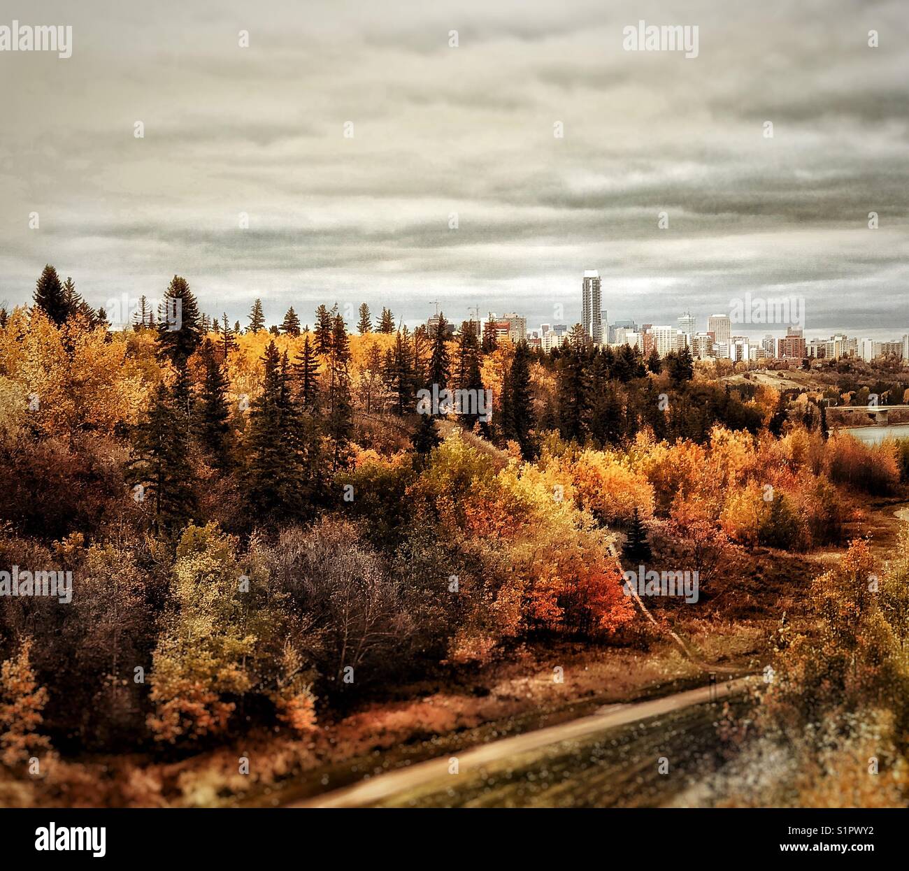Edmonton autumn hi-res stock photography and images - Alamy