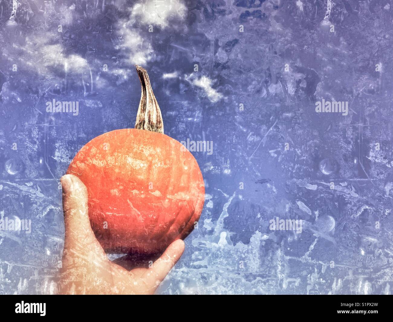 Pumpkin held high Stock Photo - Alamy