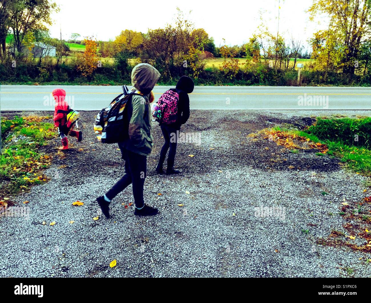 Three girls waiting for bus at bottom of rural driveway in Ontario ...