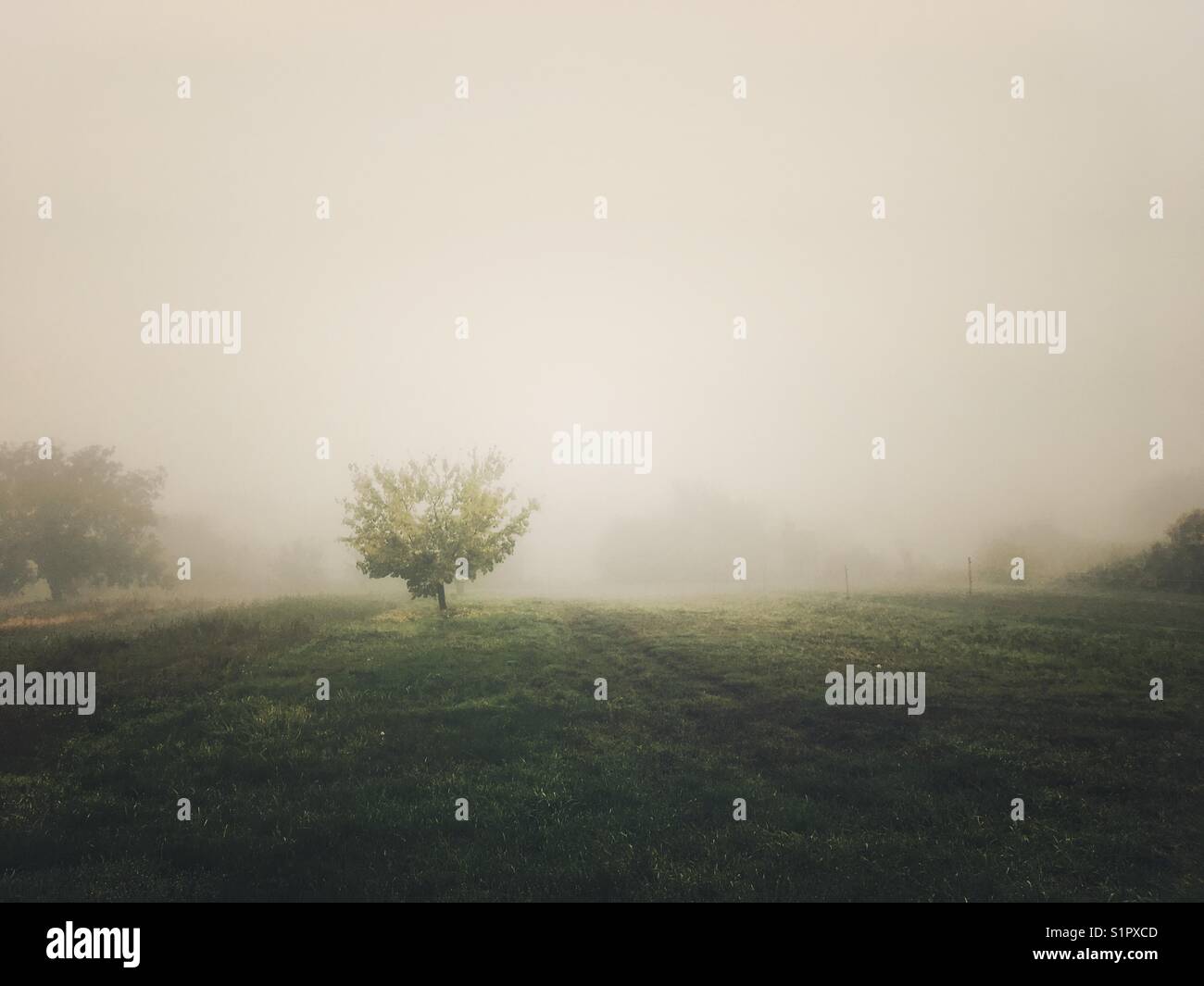 Misty october morning hi-res stock photography and images - Alamy