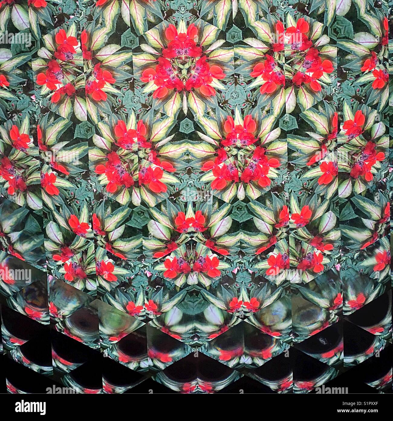 Flowers as seen through a kaleidoscope Stock Photo - Alamy