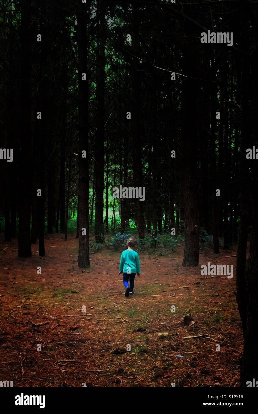 Little boy in forest hi-res stock photography and images - Alamy