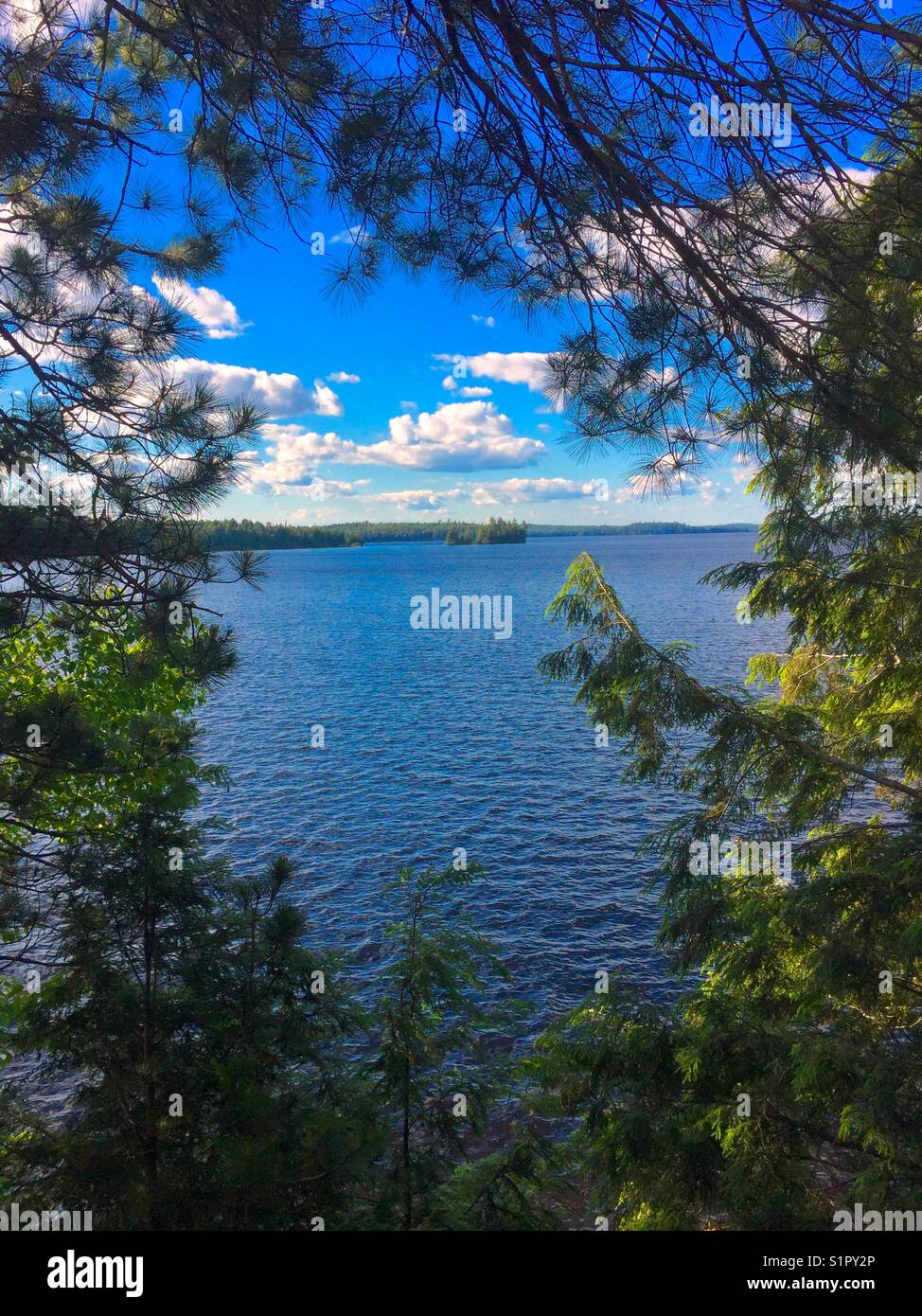 Island View Through Lake Forest Trees Stock Photo - Alamy