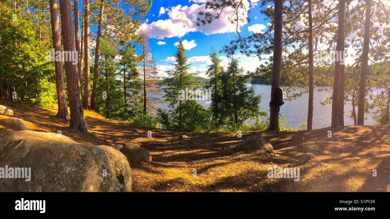 Backpack Hanging On Tree By Lake Stock Photo - Alamy