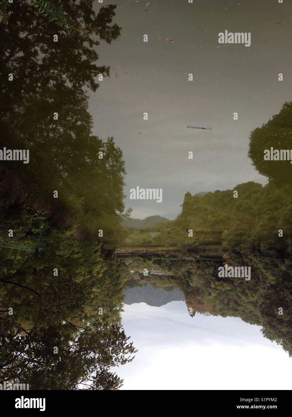 Reflective surfaces hi-res stock photography and images - Alamy