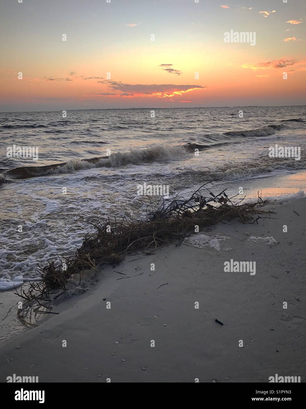 Florida beach sunset walk hi-res stock photography and images - Alamy