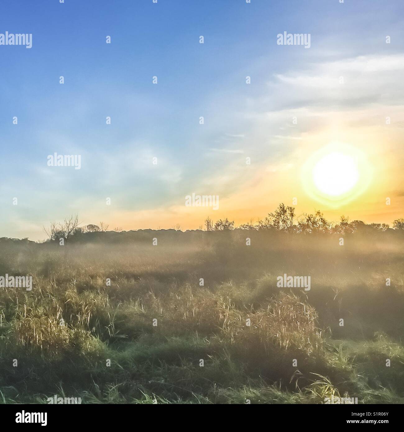 Misty meadow hi-res stock photography and images - Alamy