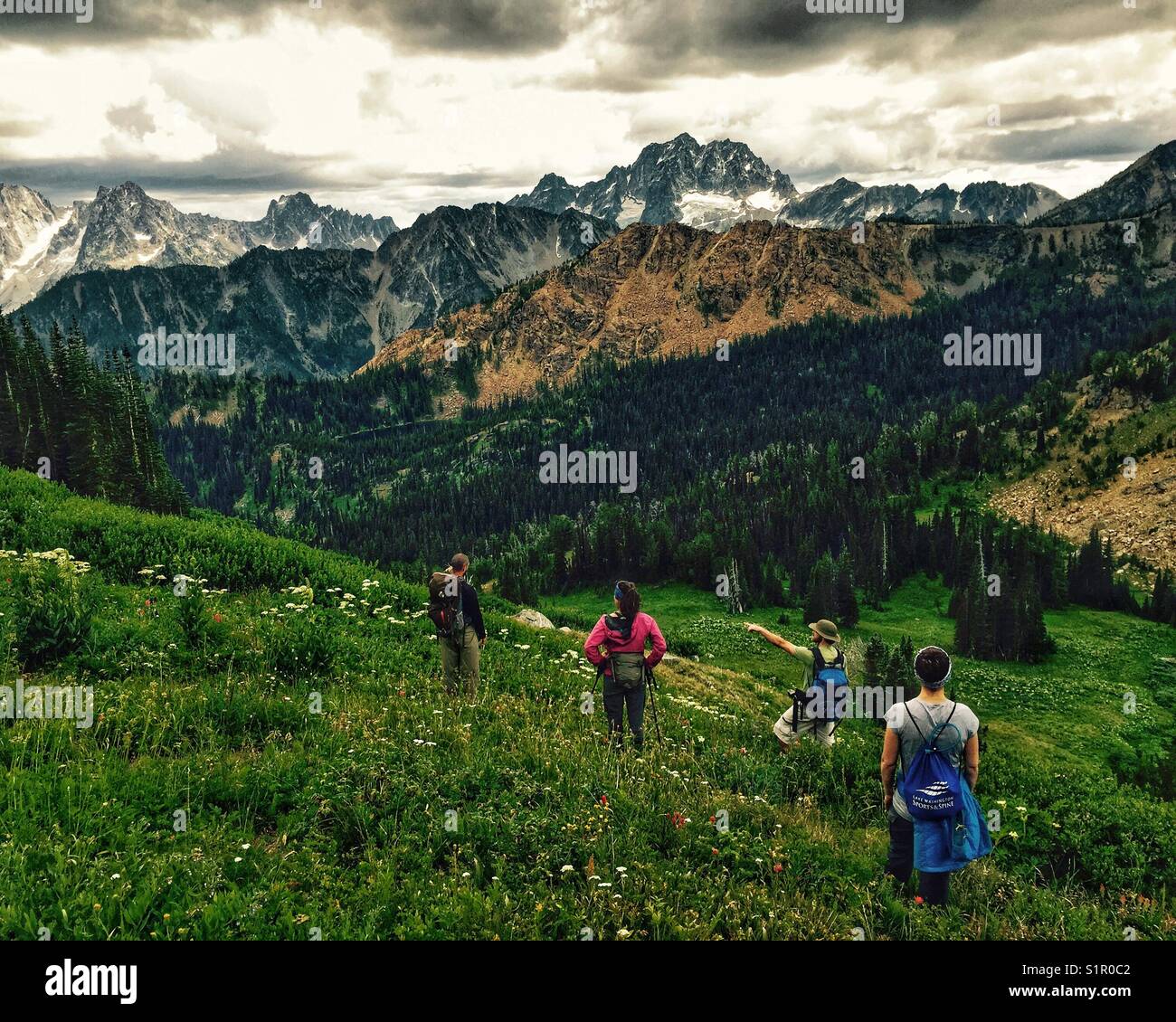 Green hiking hi-res stock photography and images - Alamy