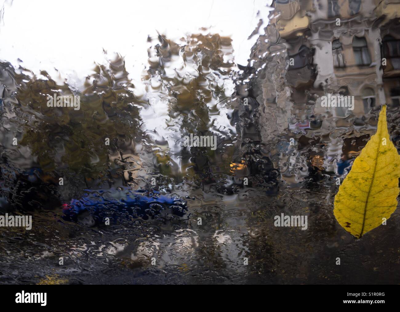 Autumn rainy weather in Kyiv Stock Photo - Alamy