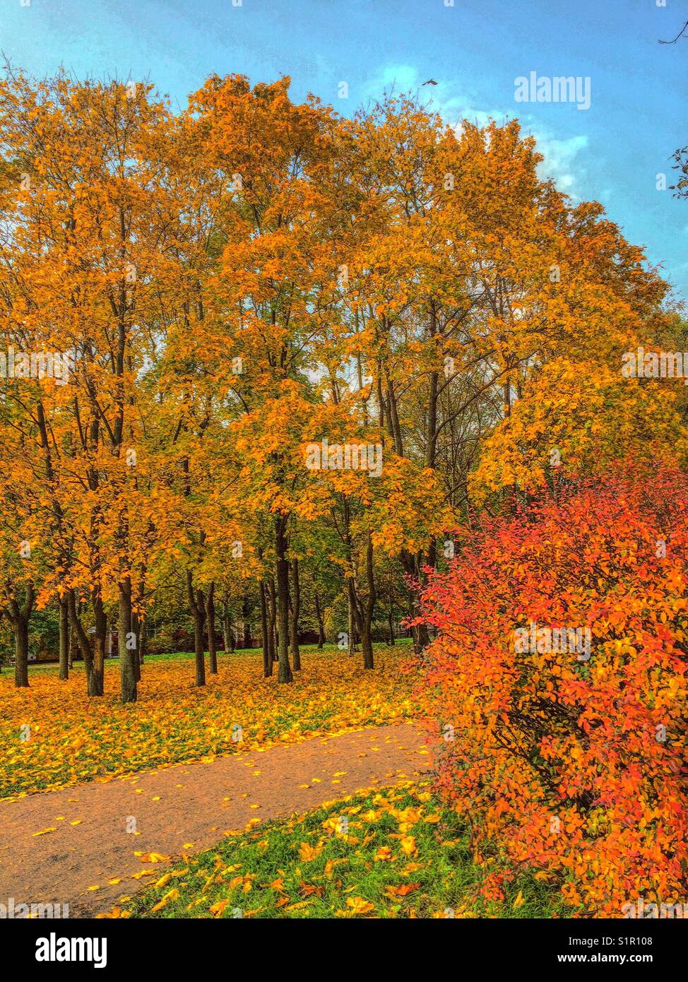 Coming for fall color hi-res stock photography and images - Alamy