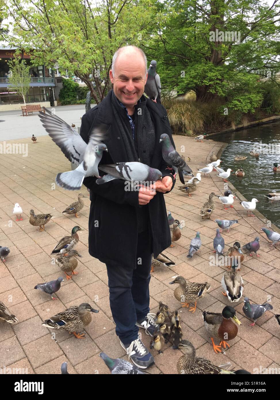 Feeding the birds Stock Photo - Alamy