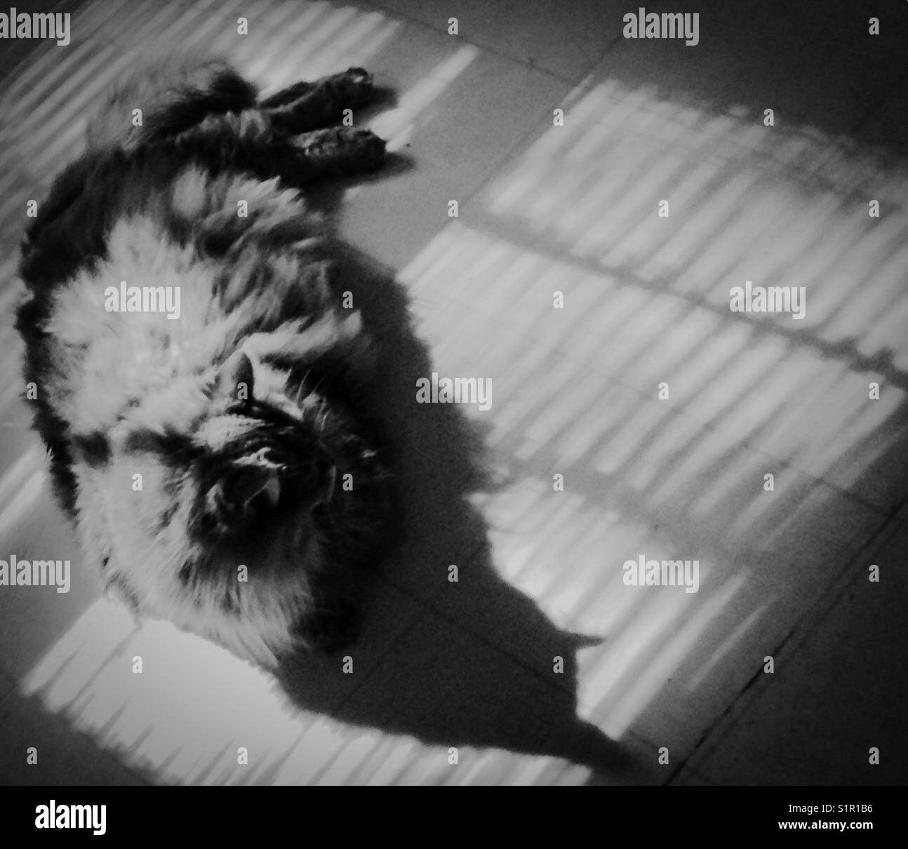 Sunbathing at hot spot hi-res stock photography and images - Alamy