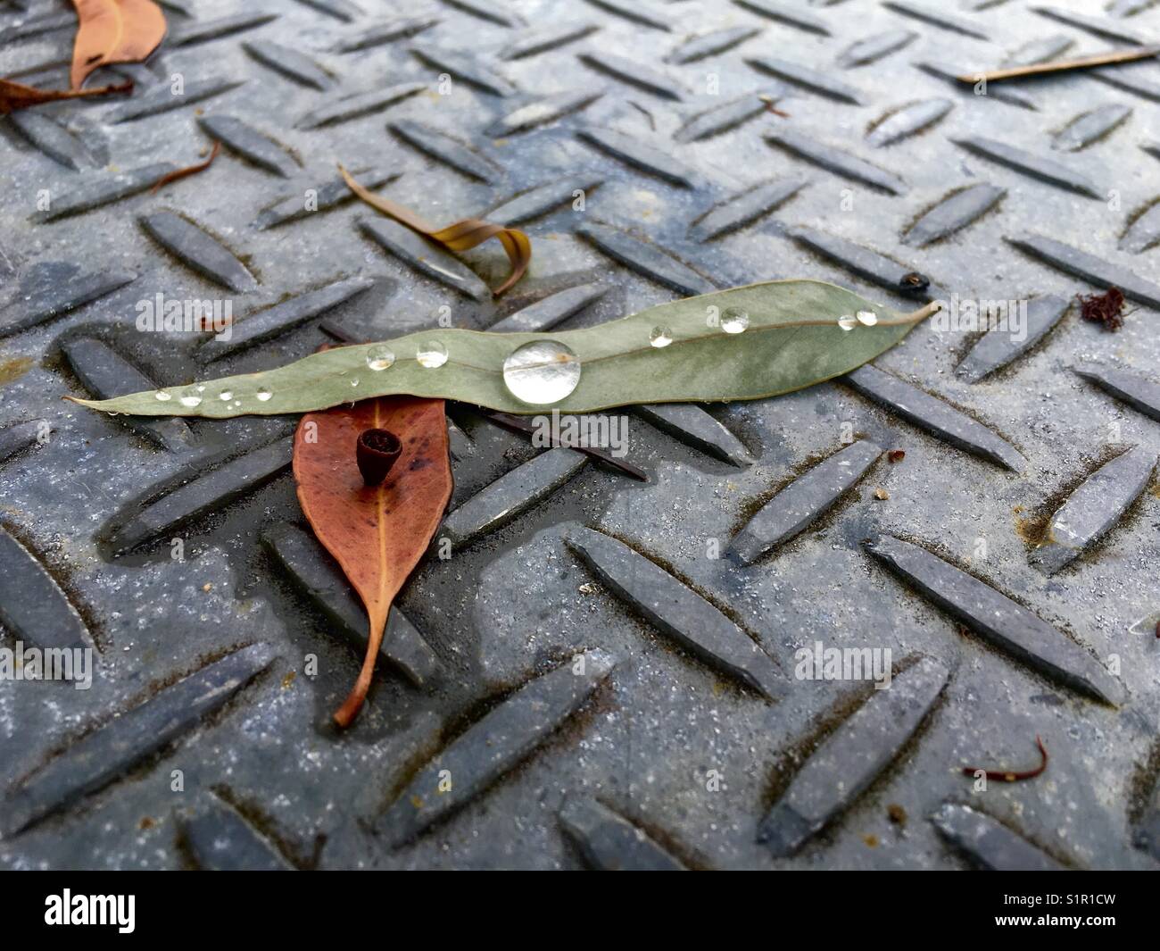 Hardness nature hi-res stock photography and images - Alamy