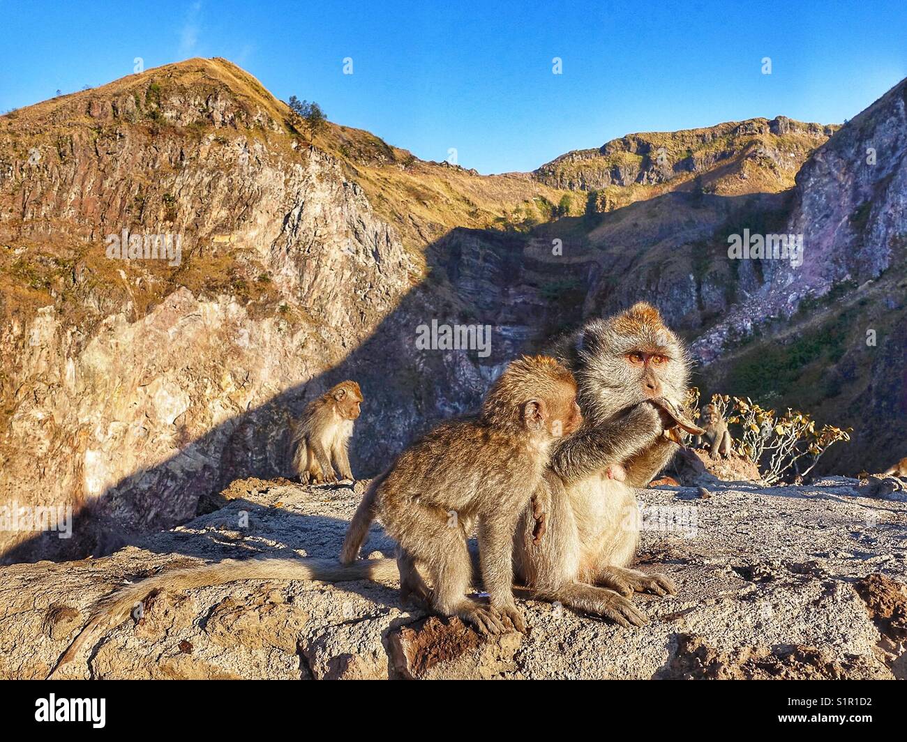 Mountain indonesia hi-res stock photography and images - Alamy