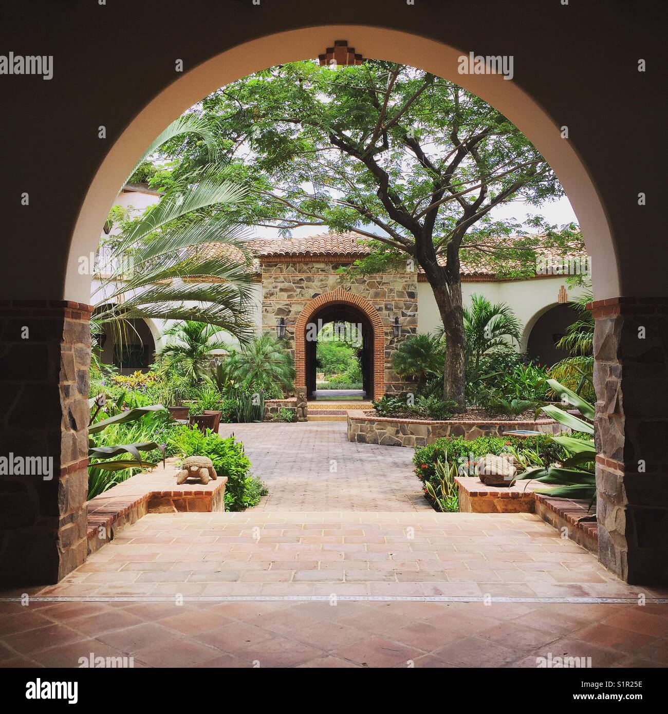 Arc tree hi-res stock photography and images - Alamy