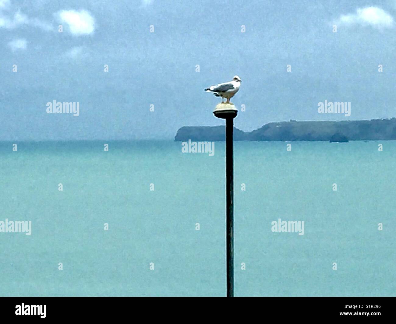 Keeping watch over padstow, Cornwall Stock Photo - Alamy