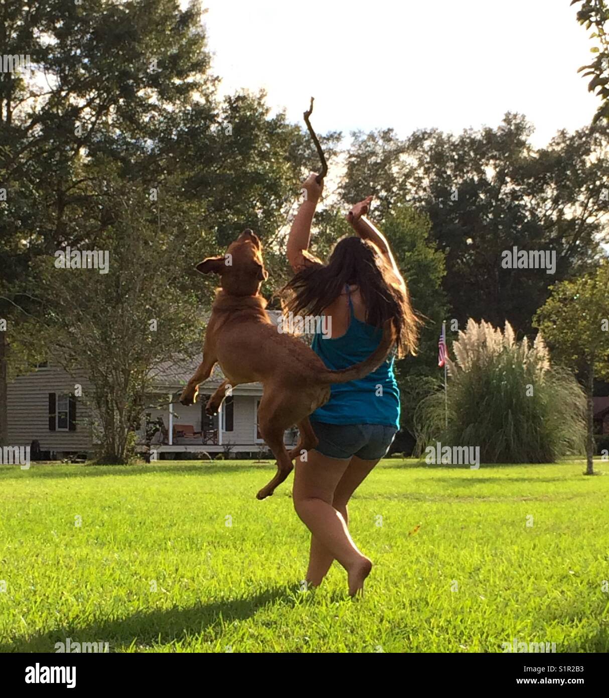 Dog and child playing fetch Stock Photo - Alamy