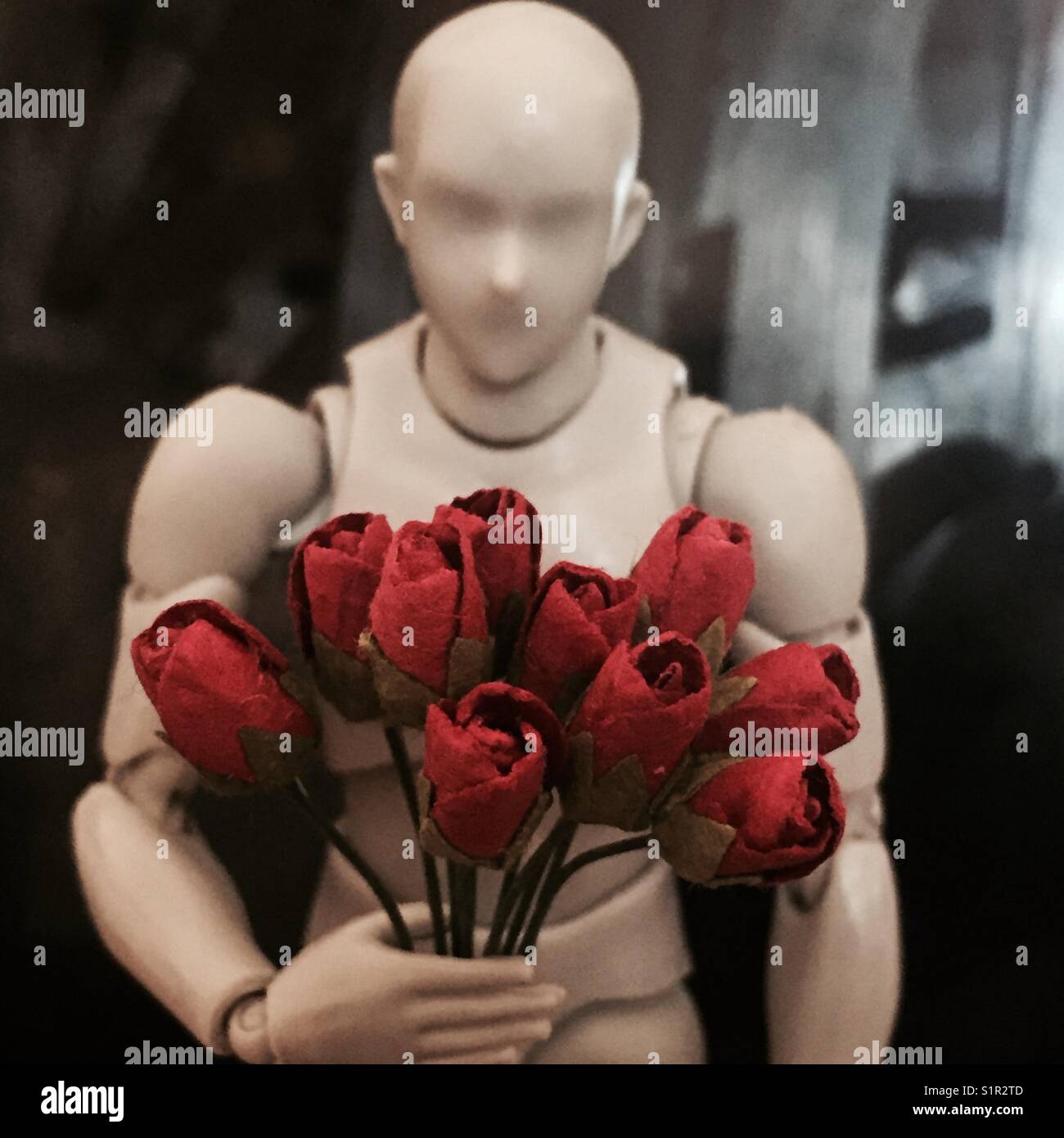 Man red roses hi-res stock photography and images - Alamy