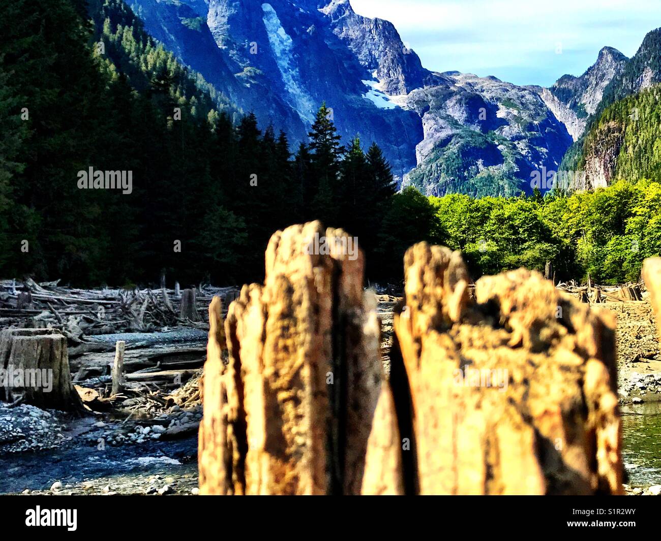 Stave lake hi-res stock photography and images - Alamy