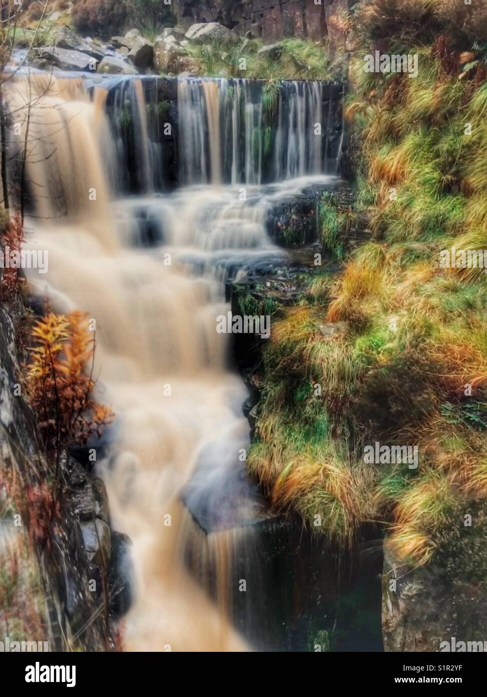 White coppice hi-res stock photography and images - Alamy